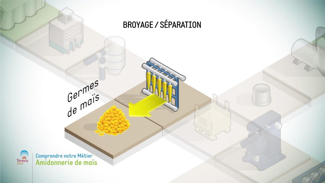 Tereos - Motion Design Animations 2D et 3D - Créations Graphiques ...